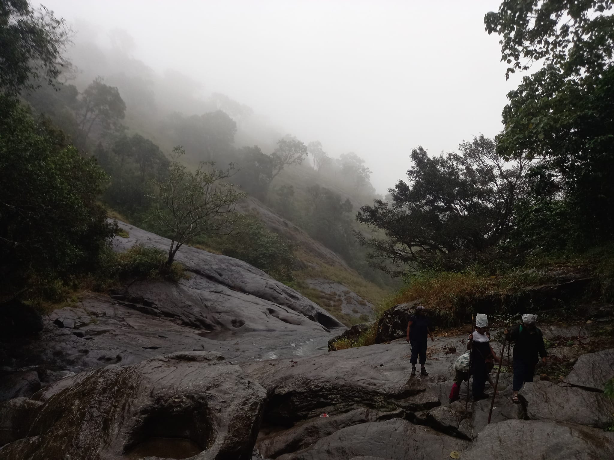 A journey through Wayanad 900 kandi forest : A mind blowing travelogue ...